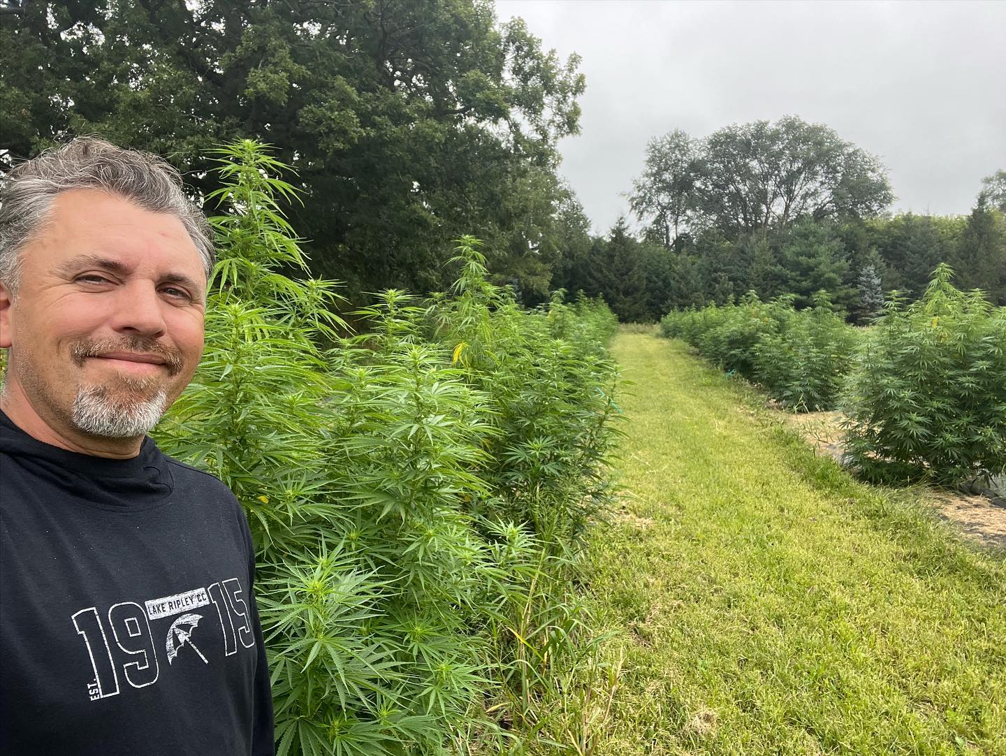 Canndigenous: Quality Hemp with Advocacy at the Core - The Weed Blog