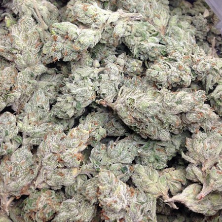 Alien OG Marijuana Strain Review And Pictures - The Weed Blog