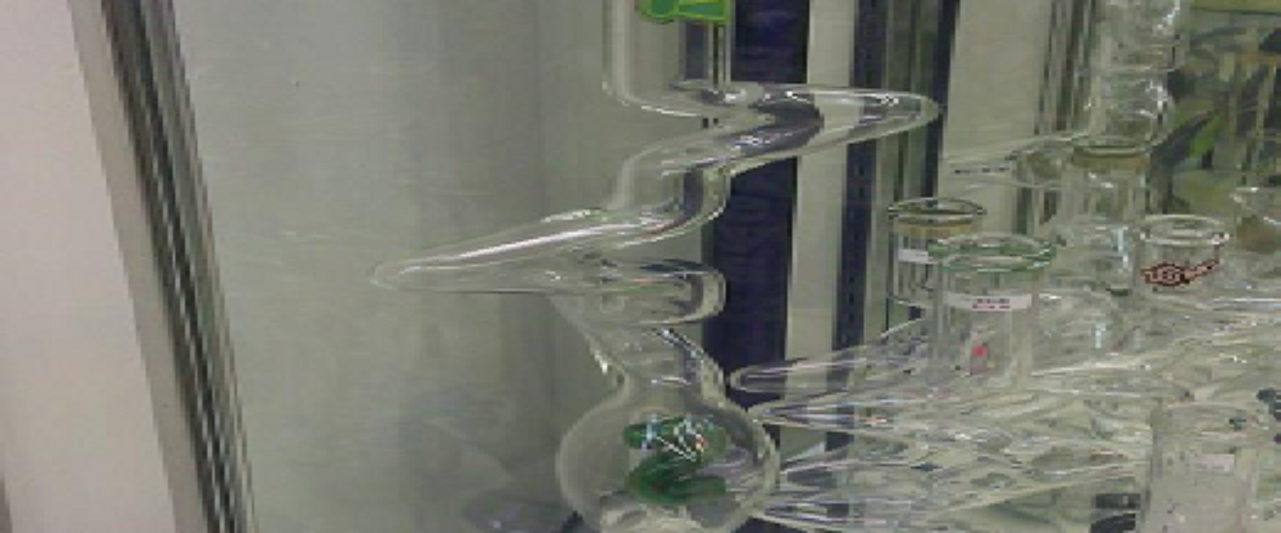 Three Foot Tall Zong Bong | The Weed Blog