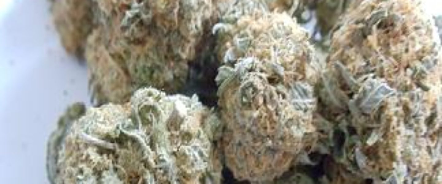 White Rhino Marijuana Strain Review - The Weed Blog