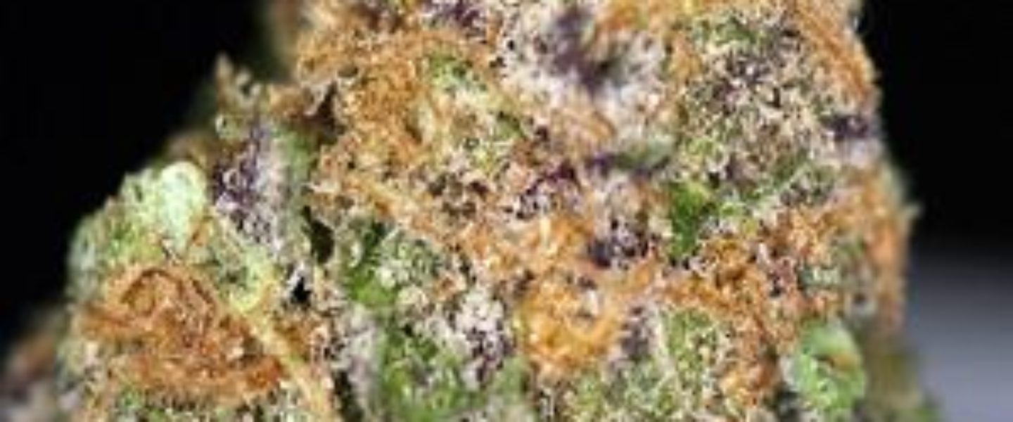 Grape Ape Marijuana Strain Review And Pictures - The Weed Blog