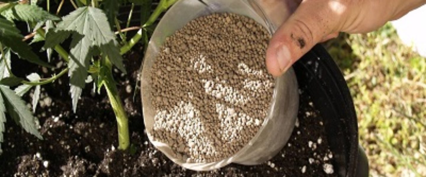 How To Make Your Own Marijuana Fertilizers - The Weed Blog