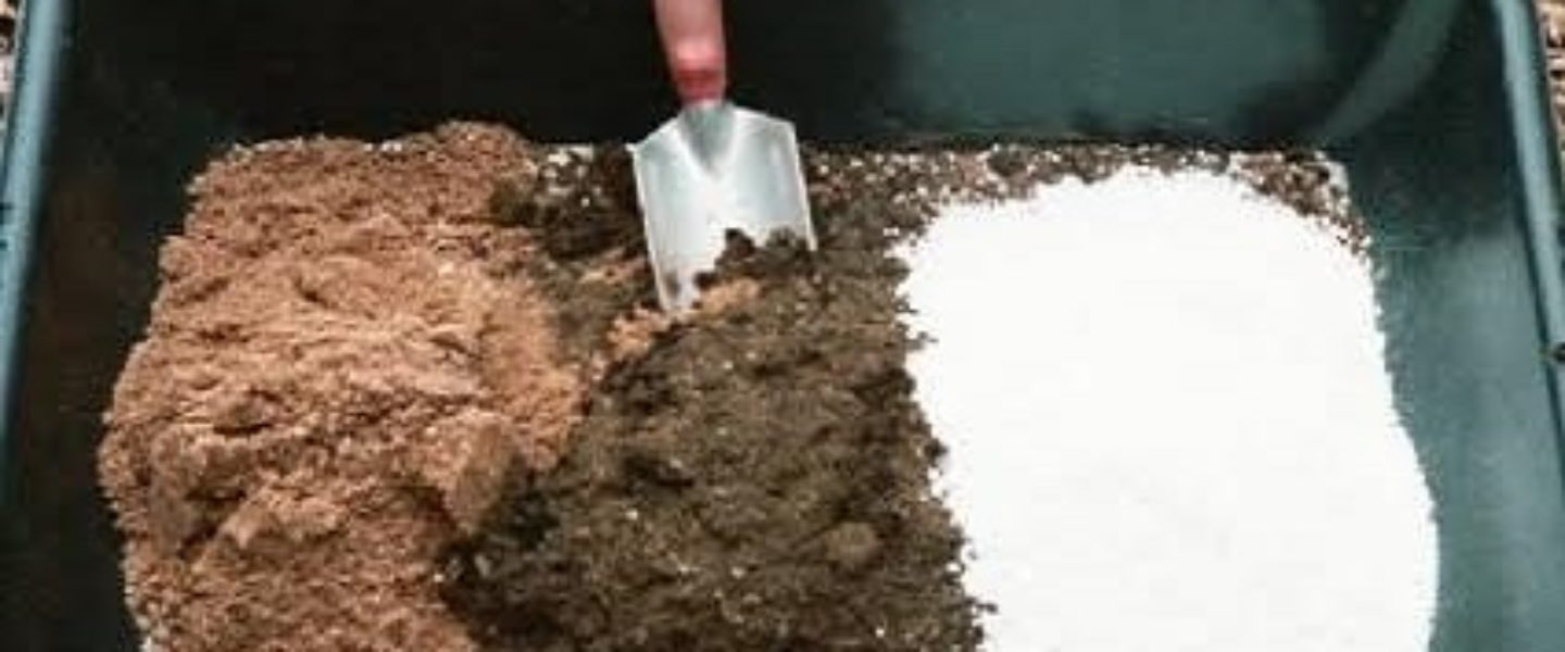 Marijuana Soil: What is the Best Soil for Growing? - The Weed Blog