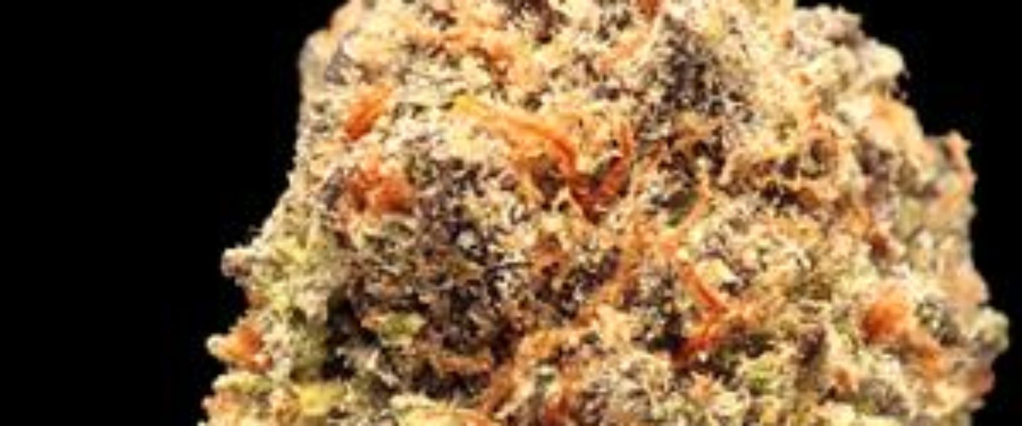 Purple Nepal Marijuana Strain Pictures - The Weed Blog
