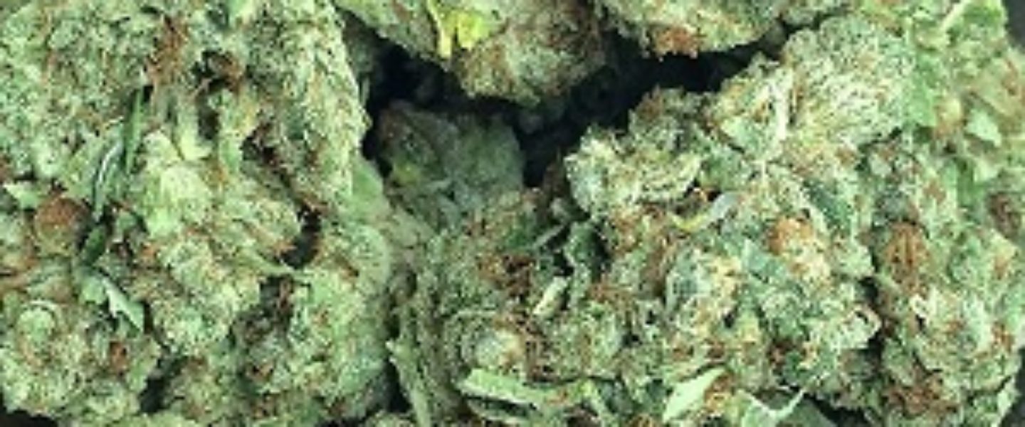 Superman OG Marijuana Strain Review And Pictures - The Weed Blog
