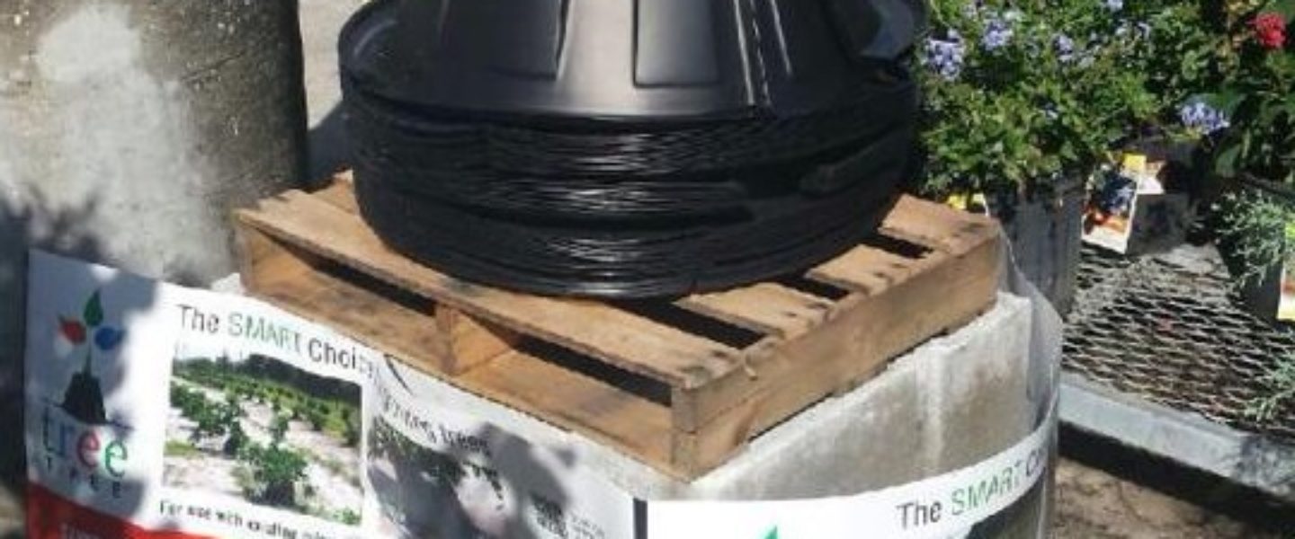 How To Save Water When Growing Marijuana Plants Outdoors - The Weed Blog