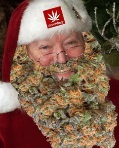 Favorite Christmas Marijuana Memes From 2014 - The Weed Blog