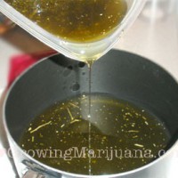 Make Marijuana Butter, Oil Or Milk With Your Marijuana Plant Trim - The ...